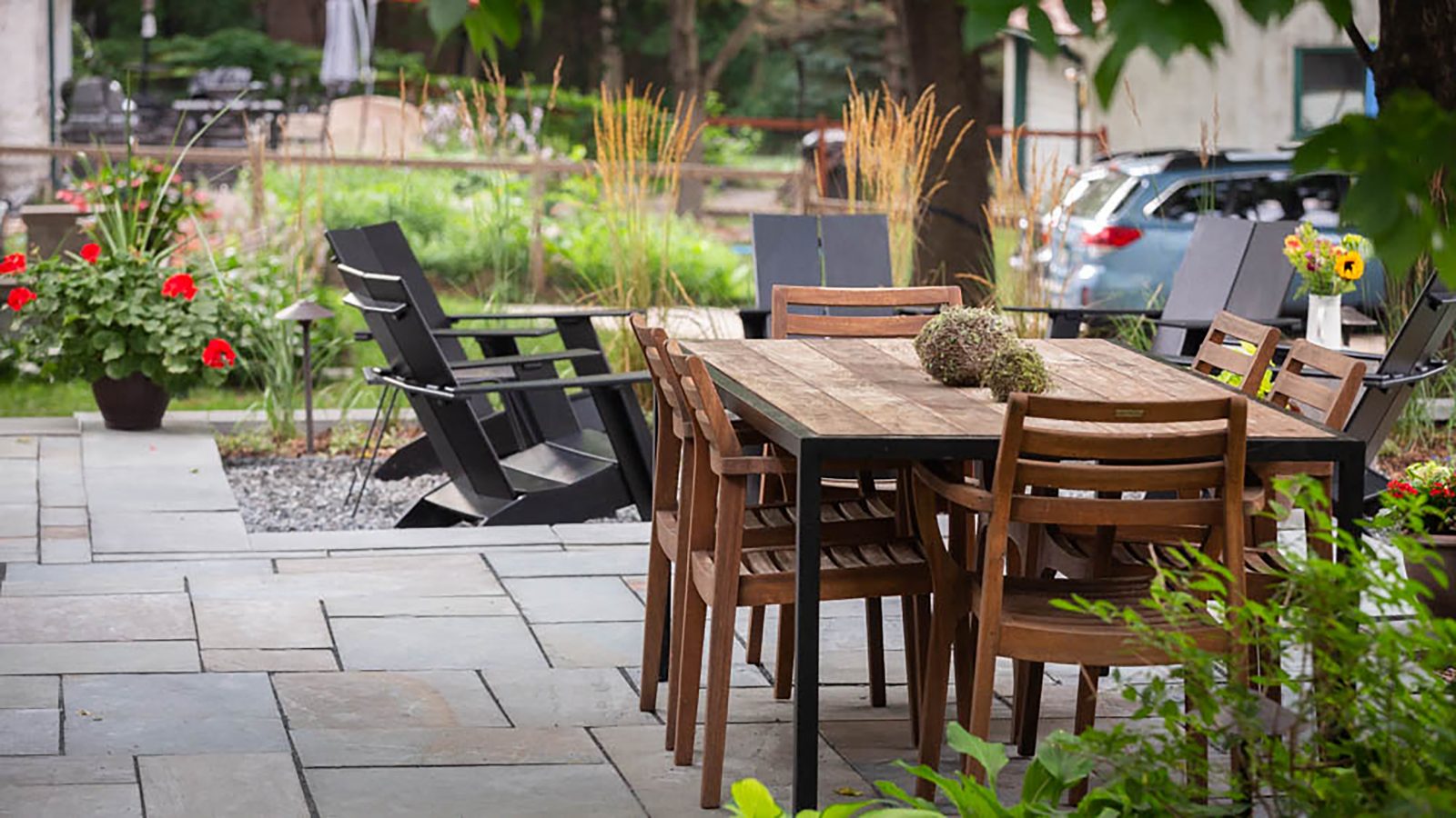 Family Traditions Biota Landscapes